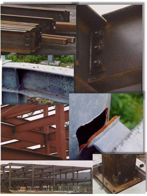 Index of /BGSCM14